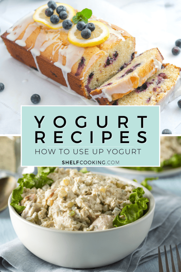 12 Recipes Using Yogurt + Storage Hacks to Try! - Shelf Cooking